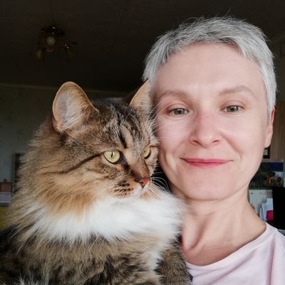 Happy Halloween Illustration Happy Cat Sitting Stock Vector (Royalty ...