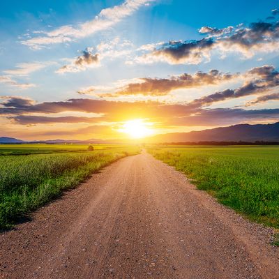 Empty Asphalt Road Beautiful Colorful Forest Stock Photo 1533794789 ...