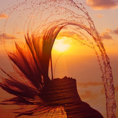 Woman Hands Holding Sun Dawn Freedom Stock Photo 1561794796 | Shutterstock