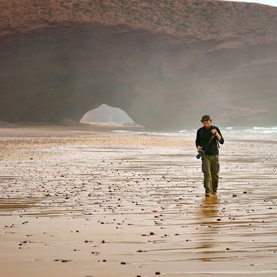 Closeup Beautiful Blooming Lavender Swaying Wind Stock Footage Video ...