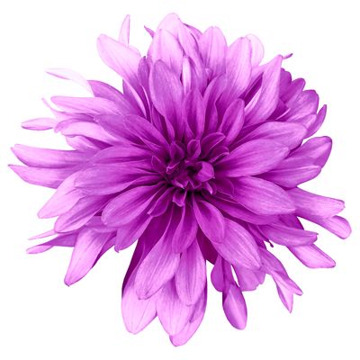 Stock Photo and Image Portfolio by nadezhda F | Shutterstock