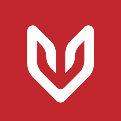 Tiger Logo Vector Tiger Line Art Stock Vector Royalty Free 1616730622