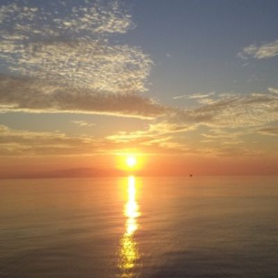 Centrifugal Pump Control Box On Siteoil Stock Photo 1185678289 ...