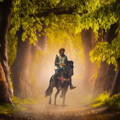 Lake View Autumn Autumn Landscape Beautiful Stock Photo 2188751305 | Shutterstock