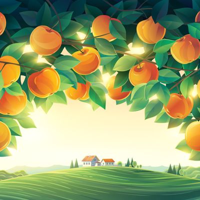 Rural Morning Landscape Cow Splash Milk Stock Vector (Royalty Free ...