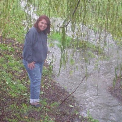 Colecciones de Anna Bird 65 | Shutterstock