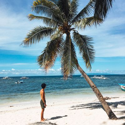 Aerial View Tropical Island Limestone Beach Stock Photo 1658780581 ...