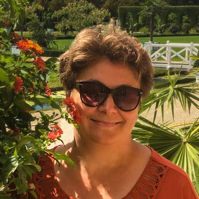 Green Red Leaves Acer Palmatum Dissectum Stock Photo 2116794578 ...