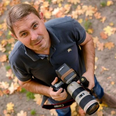 Silhouette Excavator Dump Truck Vector Illustration Stock Vector ...