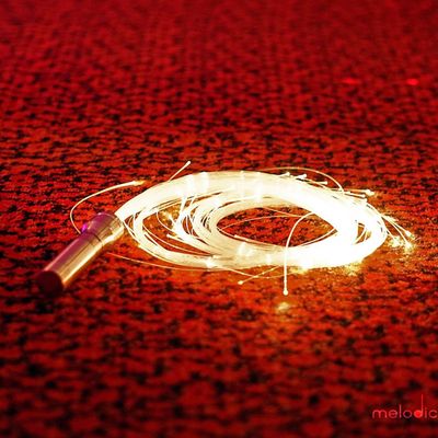 Cartera de fotos e imágenes de stock de Adam Carter | Shutterstock