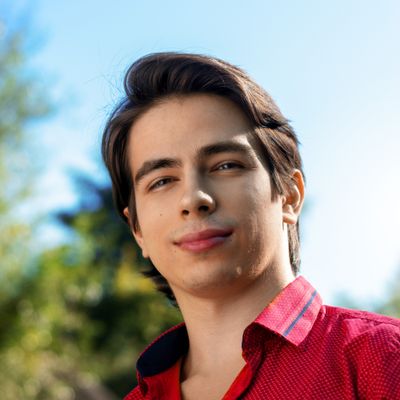 Car Headlights Forest Stock Photo 1817178950 | Shutterstock