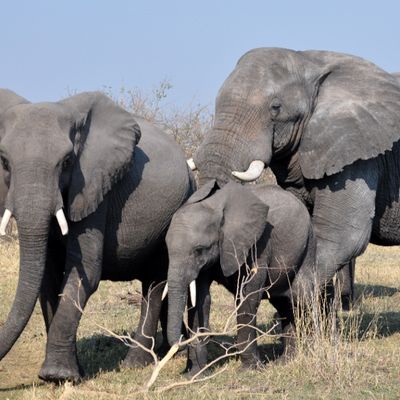 Victorian Scullery Sink Brass Utensils Stock Photo 2039420102 ...