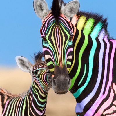 Stock Photo and Image Portfolio by Shuttershot-photography | Shutterstock