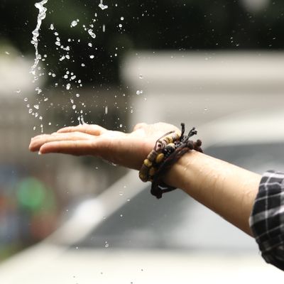 Illustration Sketch Vector Style Gule Rampoe Stock Vector (Royalty Free ...