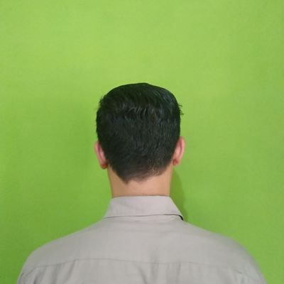 Joko W: портфолио стоковых фотографий и изображений | Shutterstock