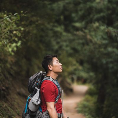 Broken Tooth Exposed Dental Pulp Stock Photo (Edit Now) 2015080817
