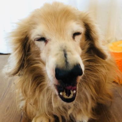 Famous Mathematical Formulas Factorization Vector Illustration Stock ...