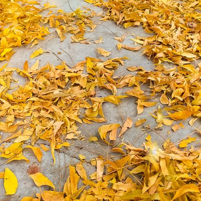 Phenyl Functional Group Molecule Atom Formula Stock Vector (Royalty ...