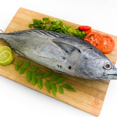 Selective Focus Fresh Seer Fishking Fish Stock Photo 1997709554 ...