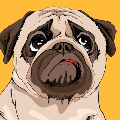 Danh mục tác phẩm ảnh và hình ảnh có sẵn của Afishka | Shutterstock