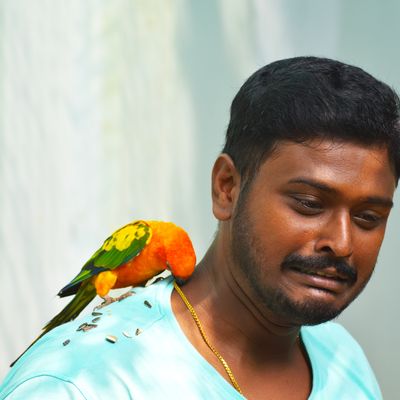 Cartera de fotos e imágenes de stock de s gowrishankar | Shutterstock