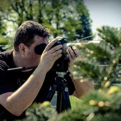 Golden 3d number 1629 - Year 스톡 일러스트 2125449635 | Shutterstock