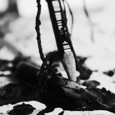 Stock Photo and Image Portfolio by Narasangga | Shutterstock