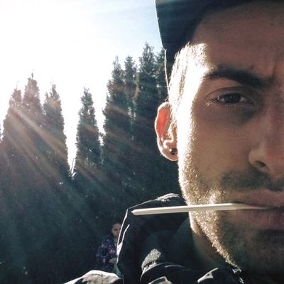 bulletproof grass | Shutterstock