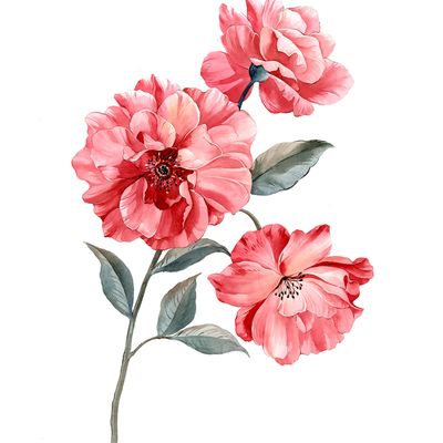 Floral Running Allover Design Digital Printfloral Stock Illustration ...