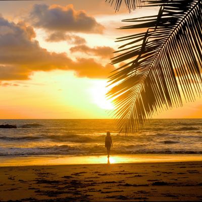Romantic Sunset Dinner On Beach Table Stock Photo 2171582023 | Shutterstock