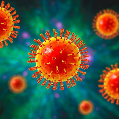 Bowel Polyps Colorectal Polyps 3d Illustration 스톡 일러스트 1959040996 ...