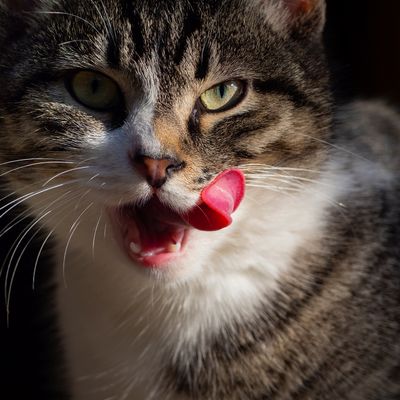 Dim Sunset Sky Clouds Dramatic Light Stock Photo 2199997577 | Shutterstock