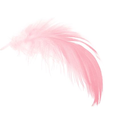 Beautiful Light Pink Feather Isolated On Stock Photo (Edit Now) 1580555176