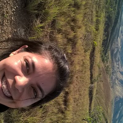 Cartera de fotos e imágenes de stock de Berguia Silva | Shutterstock