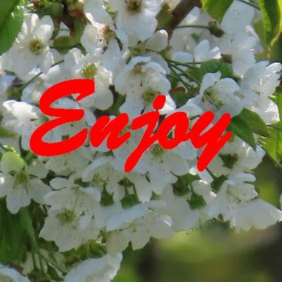 Cartera de fotos e imágenes de stock de Enjoy The Nature | Shutterstock