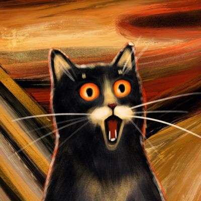 Cartera de fotos e imágenes de stock de O.Tyshchenko | Shutterstock