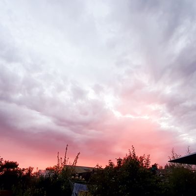 Cartera de fotos e imágenes de stock de Hannah Austen | Shutterstock