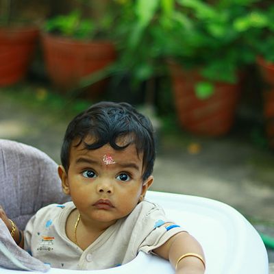 3d Rendering Digital Illustration Pancreas Spleen Stock Illustration ...