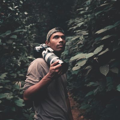 Stock Photo and Image Portfolio by Dinith | Shutterstock