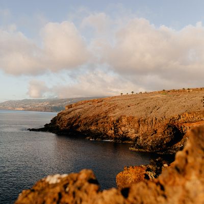 Busy Modern Pretty Woman Ringlets Wears Stock Photo 1056795101 ...