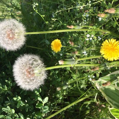 Clam Shells Wave Pattern On Beach Stock Photo 2208164611 | Shutterstock