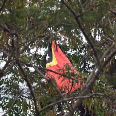 Indigenous Cultural Practices Southeast Asia Timor Stock Vector ...