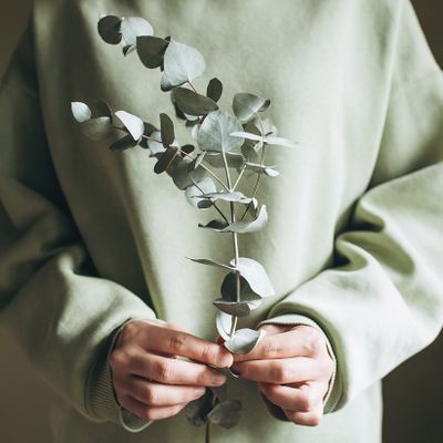 Microchip Production Factory Technological Process Assembling Stock ...