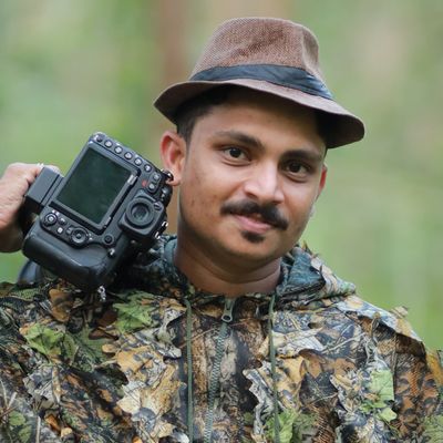 Photo & Image Portfolio by VM SADIQUE ALI | Shutterstock Contributor