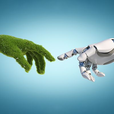 Number Zero Shaped Chocolate Birthday Cake Stock Illustration 64117450 ...