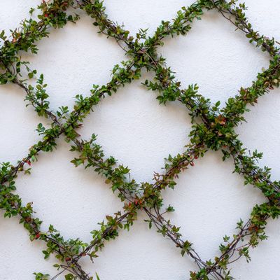 Modern Clean Design Fifth Wheel Travel Stock Photo 2271796097 ...