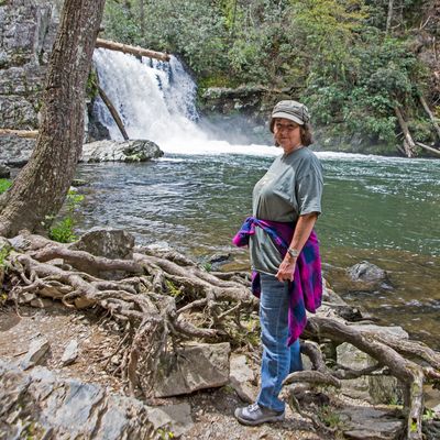 Whitewater Stream Fall Colors Stock Photo 83590003 | Shutterstock