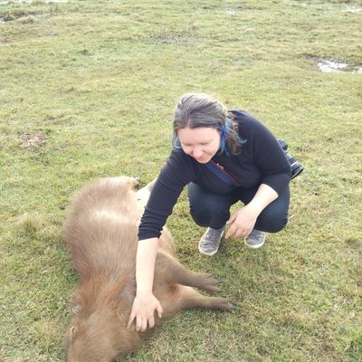 Healing Process Second Degree Burn Blood Stock Photo (Edit Now) 1955700643