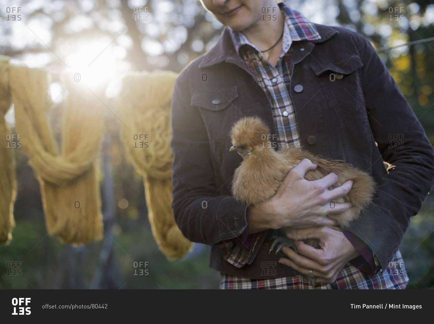 A woman holding a small brown fluffy chicken. A long brown knitted ...