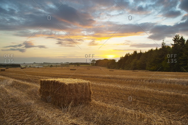 Hay Field Sunset
